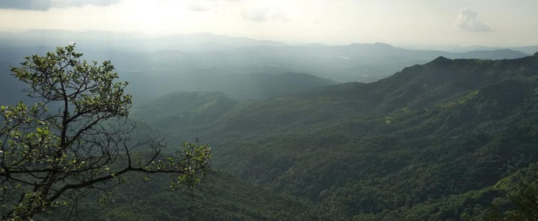 Amboli Ghat: Your Ultimate Guide to Exploring Sindhudurg's Hill Station ...